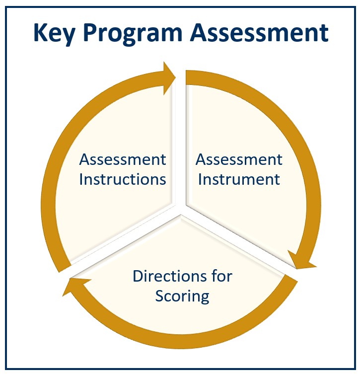 Key Program Assessments